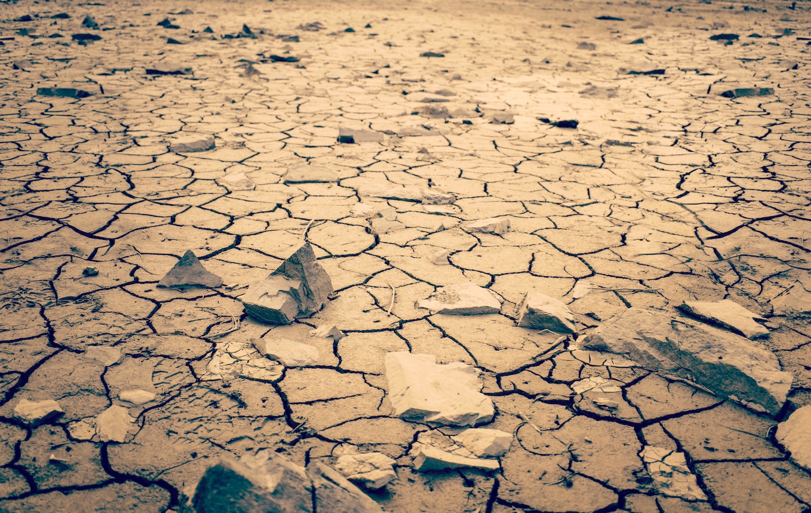Matthew 12:43–45: The Danger of Neutrality – JacobGerber.org